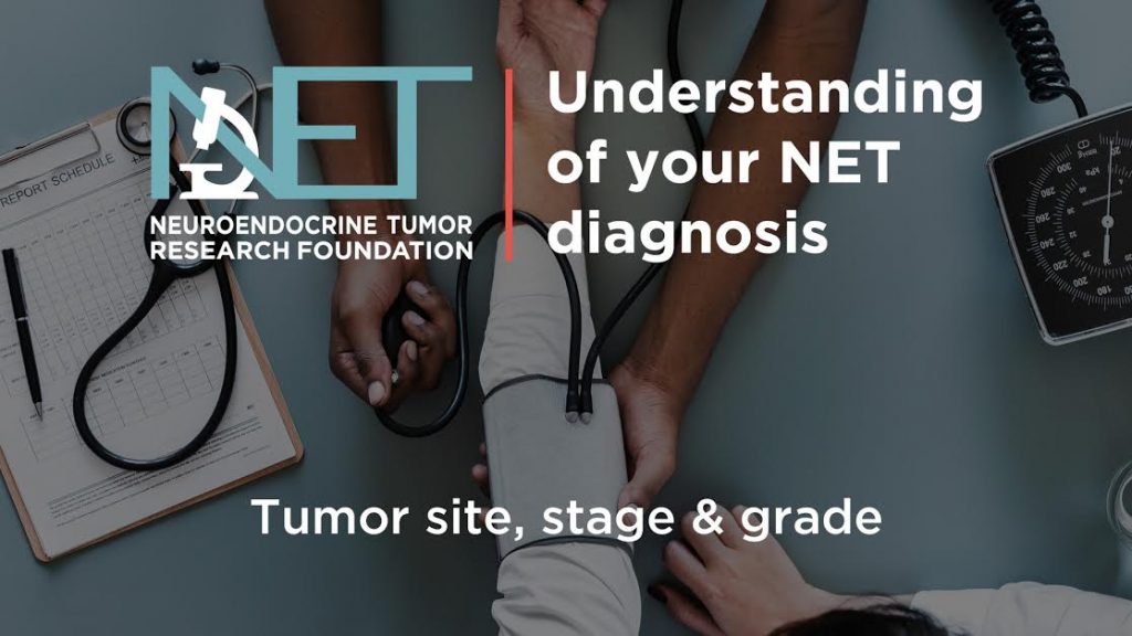 Where do Neuroendocrine Tumors (NETs) Develop?