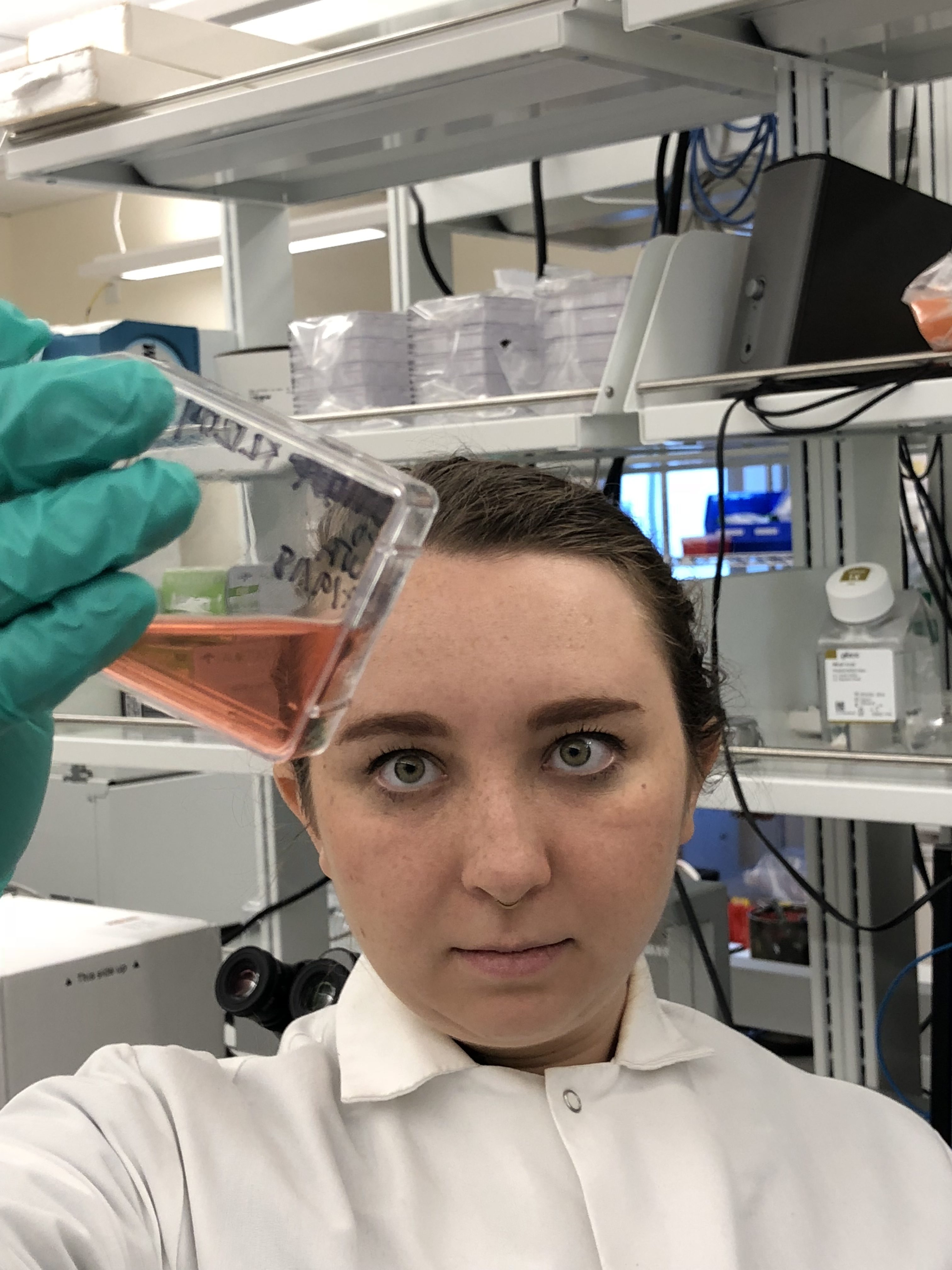 Developing a NET Cell Line - NETRF