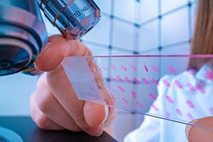 Milestone Achievements Announced in NET Cell Line Development - NETRF