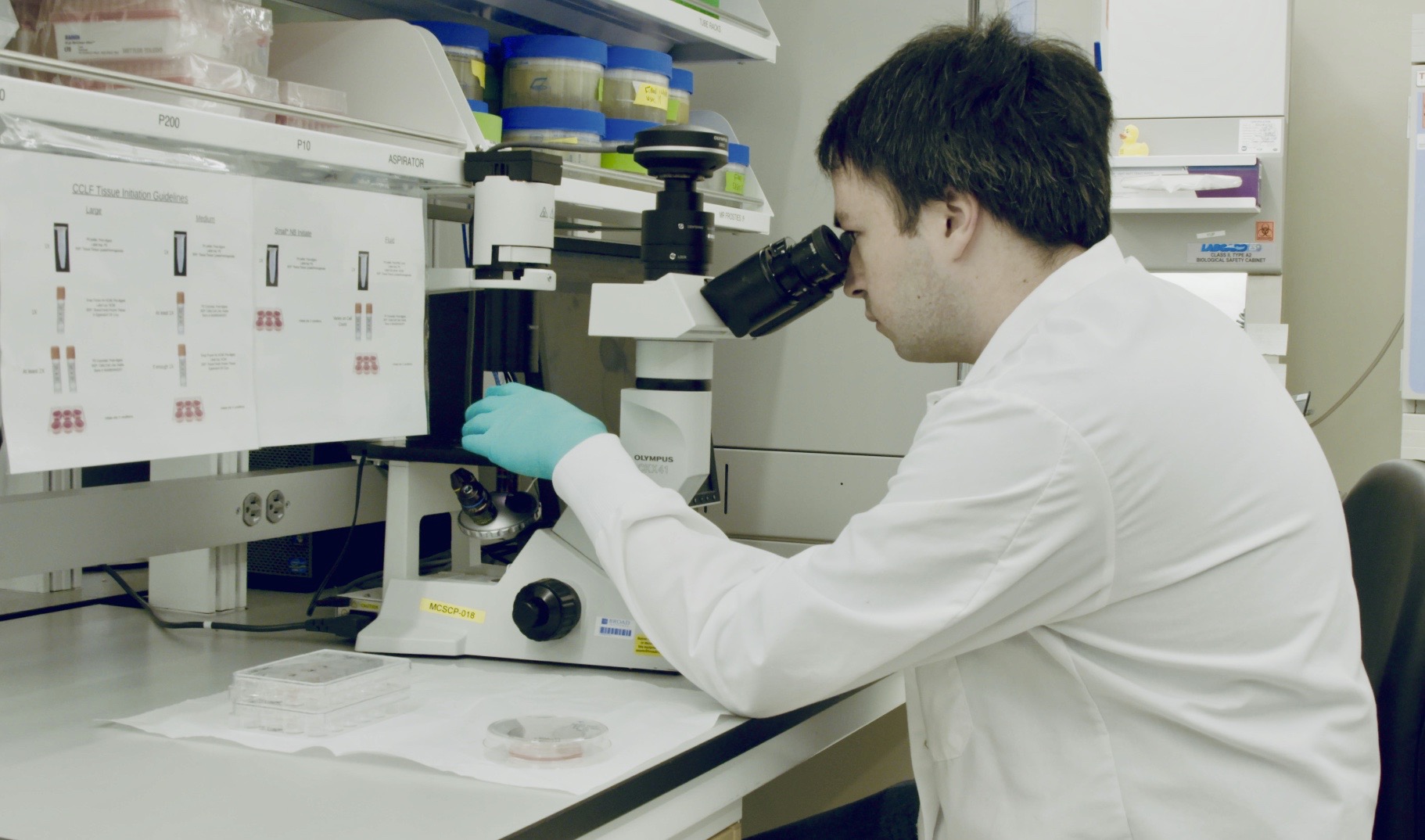 Collaborative Grants and Projects - NETRF