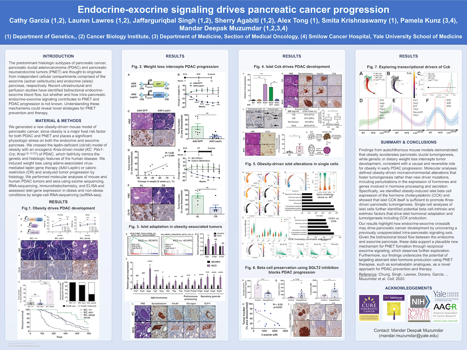 Endocrine-exocrine signaling drives pancreatic cancer progression - NETRF