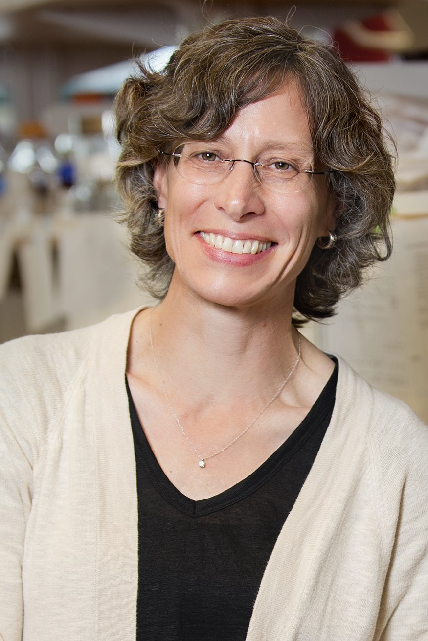 Phase I/II Study of Intratumoral Ipilimumab with Anti-PD-L1 in Patients ...