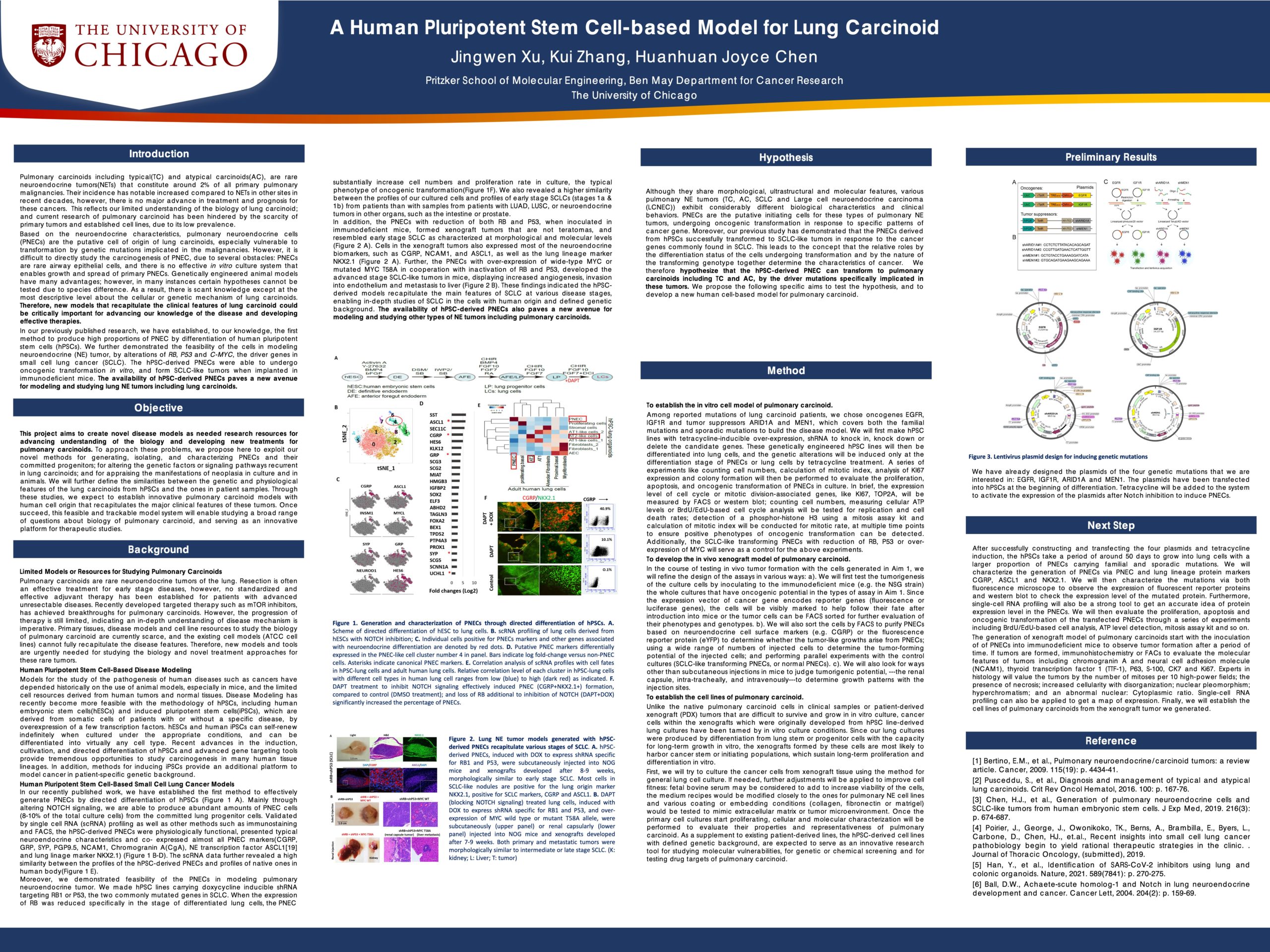 A Human Pluripotent Stem Cell-based Model for Lung Carcinoid - NETRF