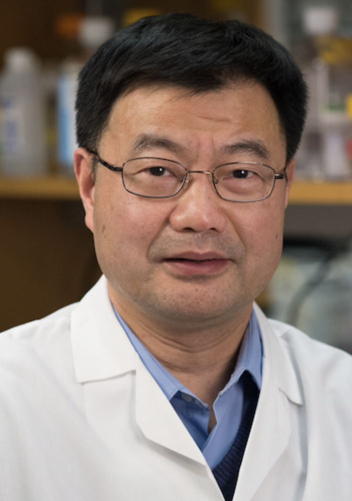 Research Milestone in NETRF-funded Science: CAR T Therapy Clinical Trial Announced for NETs - NETRF