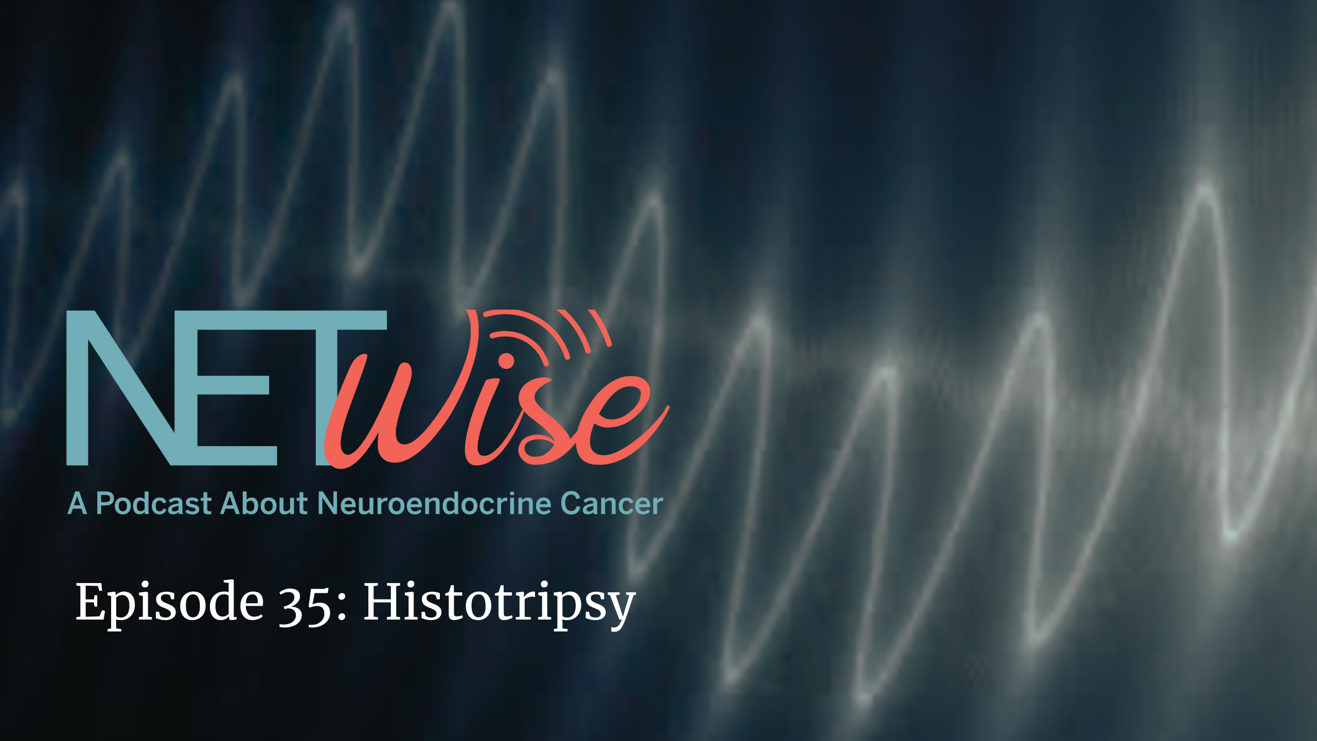 NETWise Episode 35: Histotripsy - NETRF