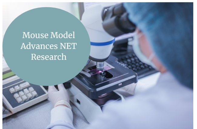 Advancing Neuroendocrine Tumor Research Through a New Clinically ...