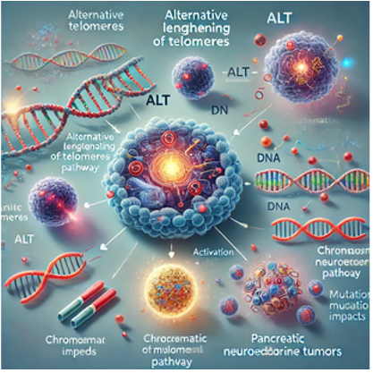 The discovery of the ALT pathway in pancreatic neuroendocrine tumors ...