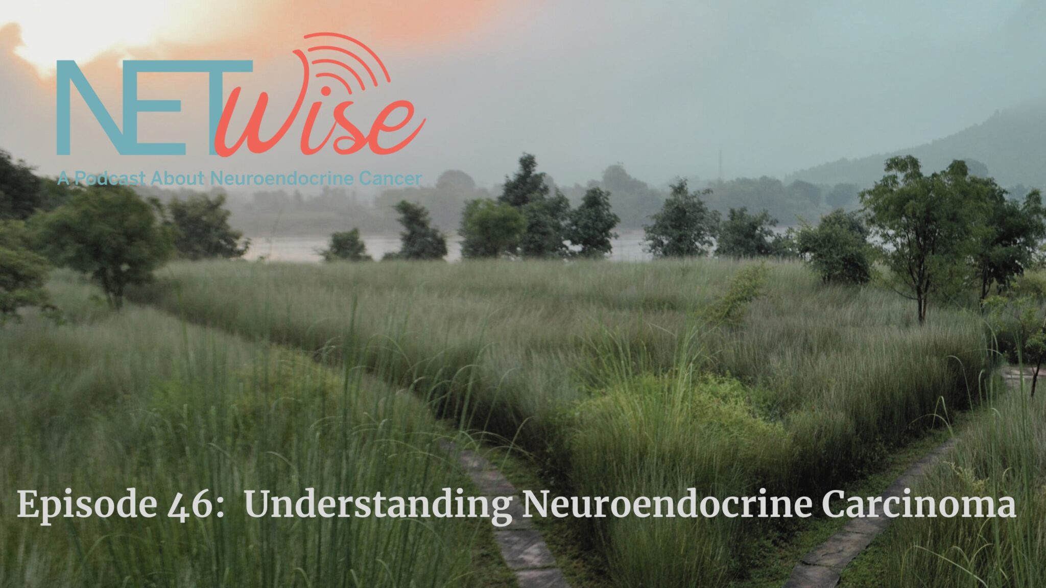 NETWise Episode 46: Understanding Neuroendocrine Carcinoma - NETRF