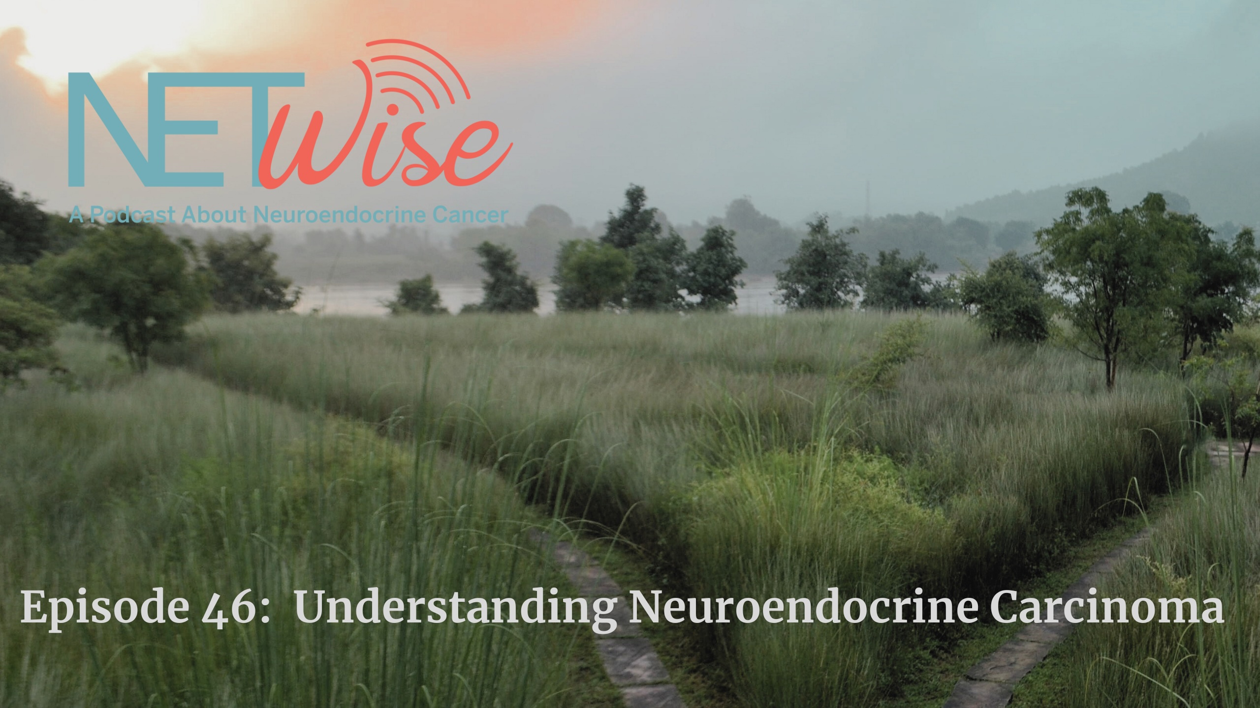 NETWise Episode 46: Understanding Neuroendocrine Carcinoma - NETRF